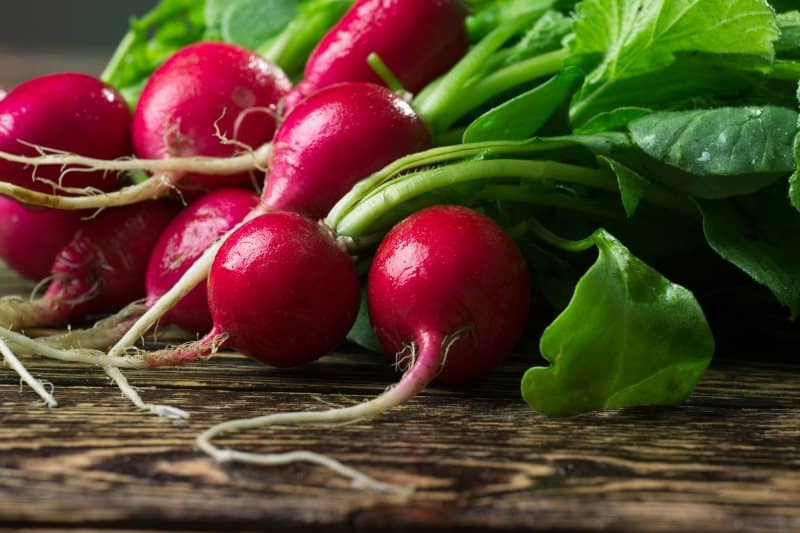 What Does Radish Taste Like What Does Radish Taste Like